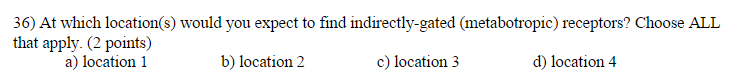 Solved NEUROTRANSMITTERS IN THE PERIPHERAL NERVOUS SYSTEM | Chegg.com