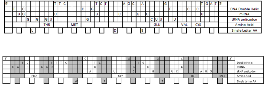 Solved to fill in the following tables. | Chegg.com