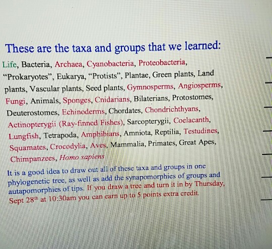 Solved These are the taxa and groups that we learned: Life, | Chegg.com