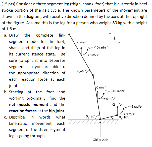 (15 pts) Consider a three segment leg (thigh, shank, | Chegg.com