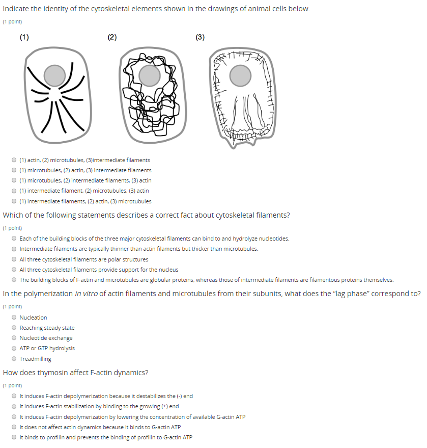 Solved Indicate the identity of the cytoskeletal elements | Chegg.com