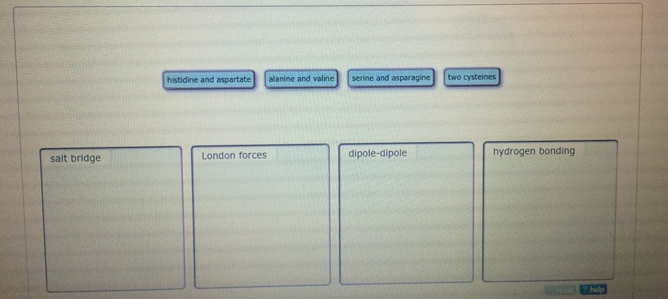 Solved What type of interaction would you expect between the | Chegg.com