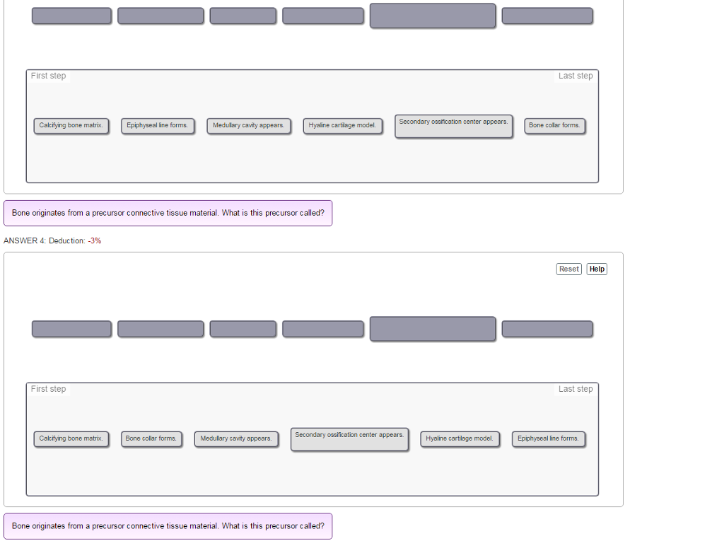 Solved Part D Ranking the Events of Ossification | Chegg.com
