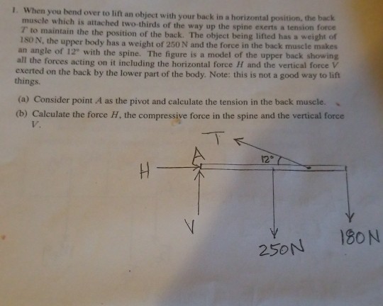 Solved 1. When you bend over to lift an object with your | Chegg.com