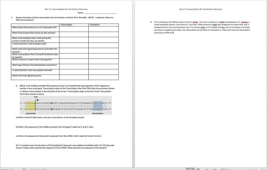 Solved Bio 11 Transcription&Translation Warmup Bio 11 | Chegg.com