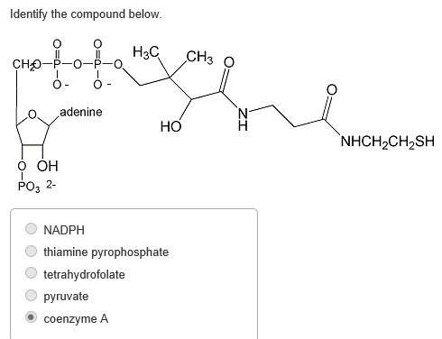 Solved All redox chemistry of the pyridine nucleotide | Chegg.com