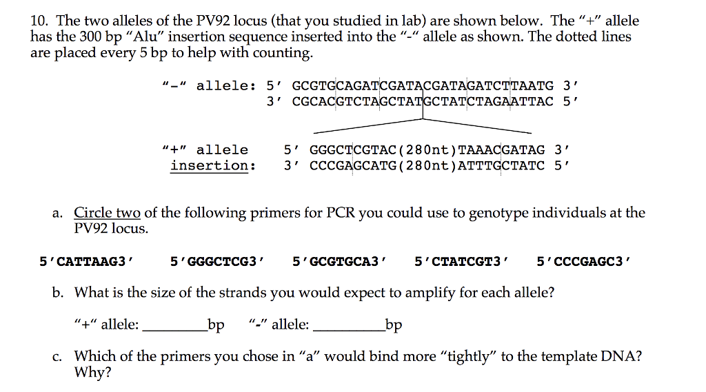 Solved 10. The two alleles of the PV92 locus (that you | Chegg.com