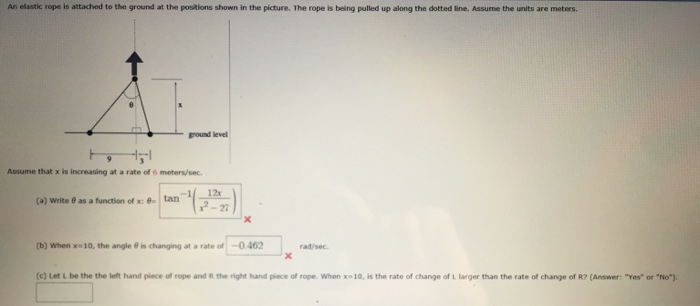 An elastic rope attached to the ground at the | Chegg.com