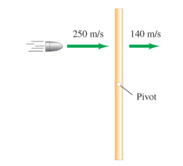 Solved A uniform stick 1.0m long with a total mass of 270g | Chegg.com
