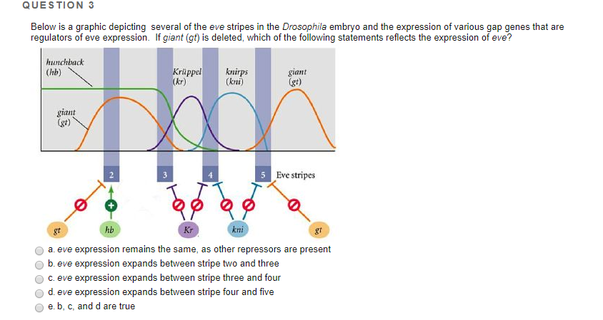 Solved QUESTION 3 Below is a graphic depicting several of | Chegg.com