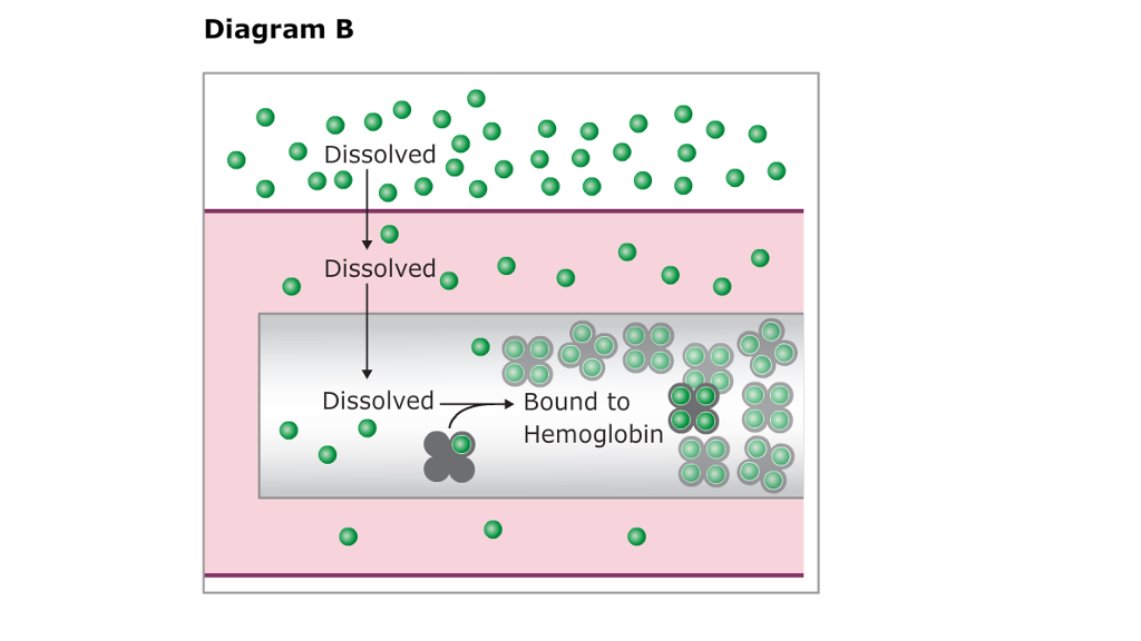 Solved The following diagrams depict the movement of gas | Chegg.com