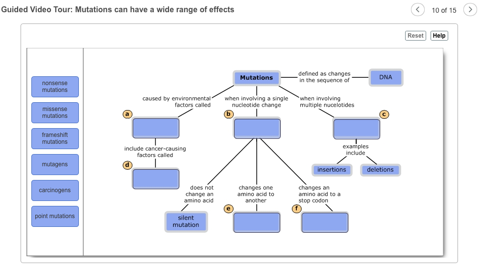 Solved Guided Video Tour: Mutations can have a wide range of | Chegg.com