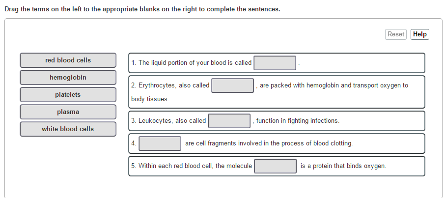 Solved Drag the terms on the left to the appropriate blanks | Chegg.com