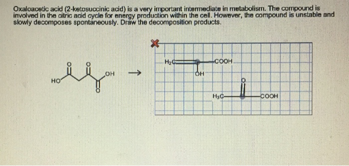 Solved Oxaloacetic Acid 2 Ketosuccinic Acid Is A Very