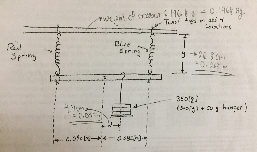 Solved FIll in the blank for the the predicted spring and | Chegg.com