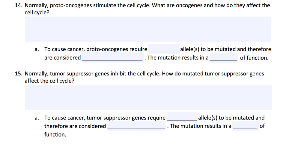 Solved hhmi Biolnteractive G1 Click and Learn The Eukaryotic | Chegg.com