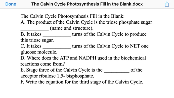 Solved The Calvin Cycle Photosynthesis Fill in the Blank: A. | Chegg.com