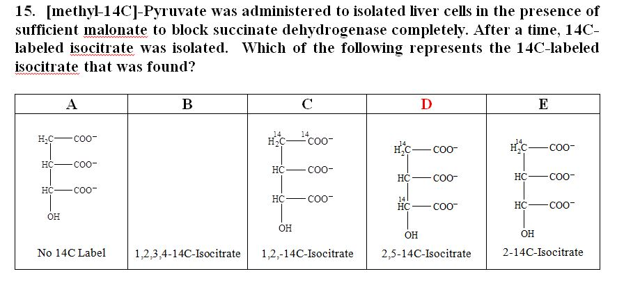 Solved 15. [methyl-14C]-Pyruvate was administered to | Chegg.com