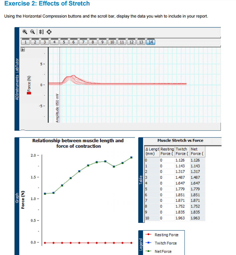 Solved Exercise 2: Effects of Stretch Using the Horizontal | Chegg.com