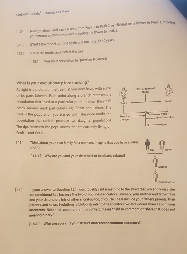 Solved Exercise 3: Building and Reading Trees n the upper | Chegg.com