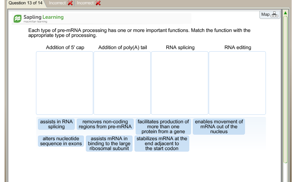Solved: Each Type Of Pre-mRNA Processing Has One Or More I... | Chegg.com