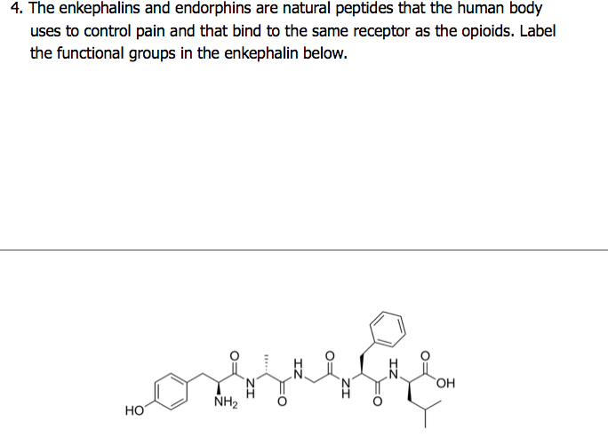 Solved The enkephalins and endorphins are natural peptides | Chegg.com