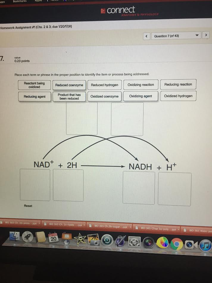 Solved Place each term or phrase in the proper position to | Chegg.com Solved Place each term or phrase in the proper position to | Chegg.com