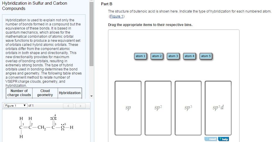 Solved Hybridization in Sulfur and Carbon Compounds | Chegg.com