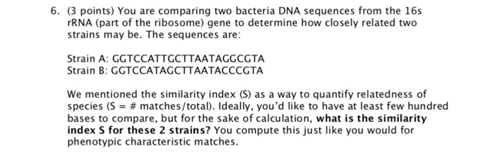 Solved You are comparing two bacteria DNA sequences from the | Chegg.com
