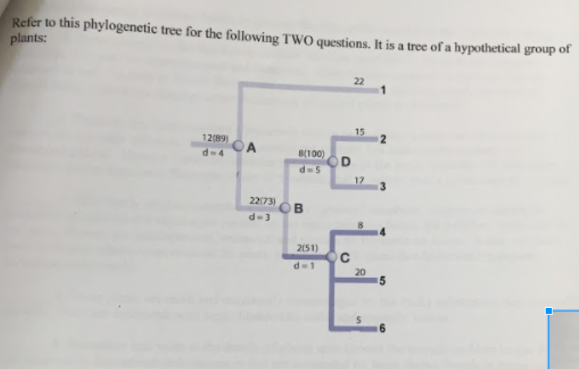 Solved Four of the branches on the tree have three numbers | Chegg.com