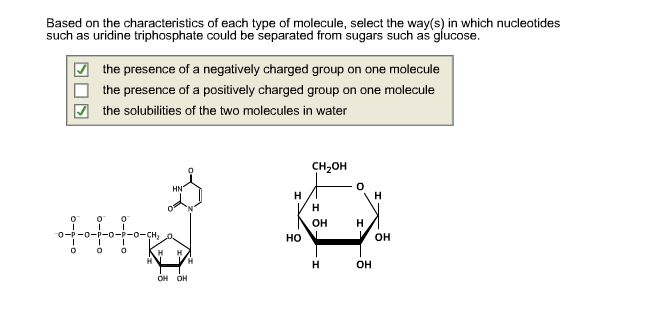 Solved In studying a particular biomolecule (a protein, | Chegg.com