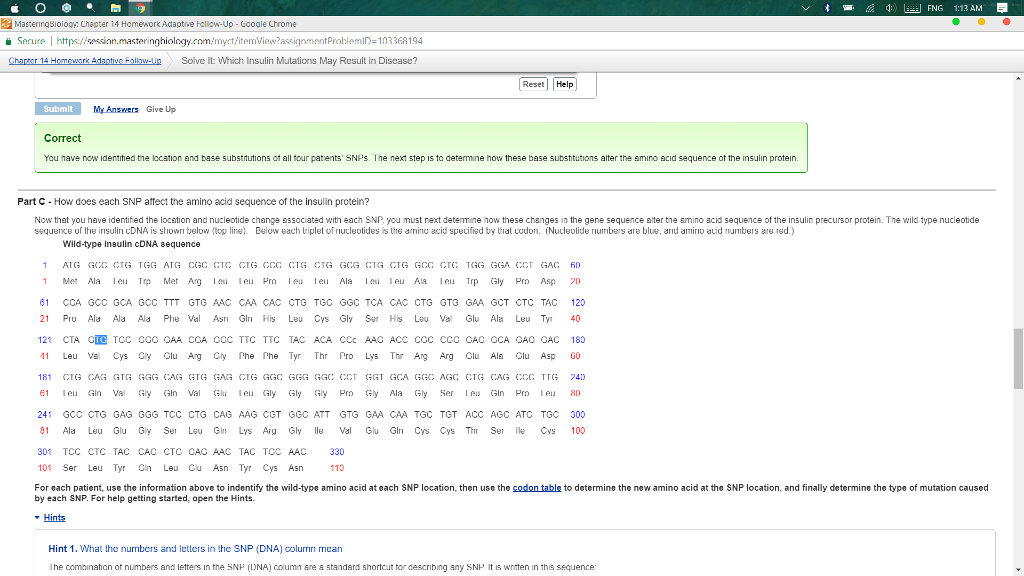 Solved Part C - How does each SNP affect the amino acid | Chegg.com