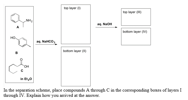 Solved In the separation scheme, place compounds A through | Chegg.com