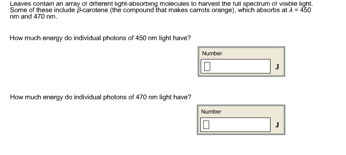 Solved Leaves contain an array of different light-absorbing | Chegg.com