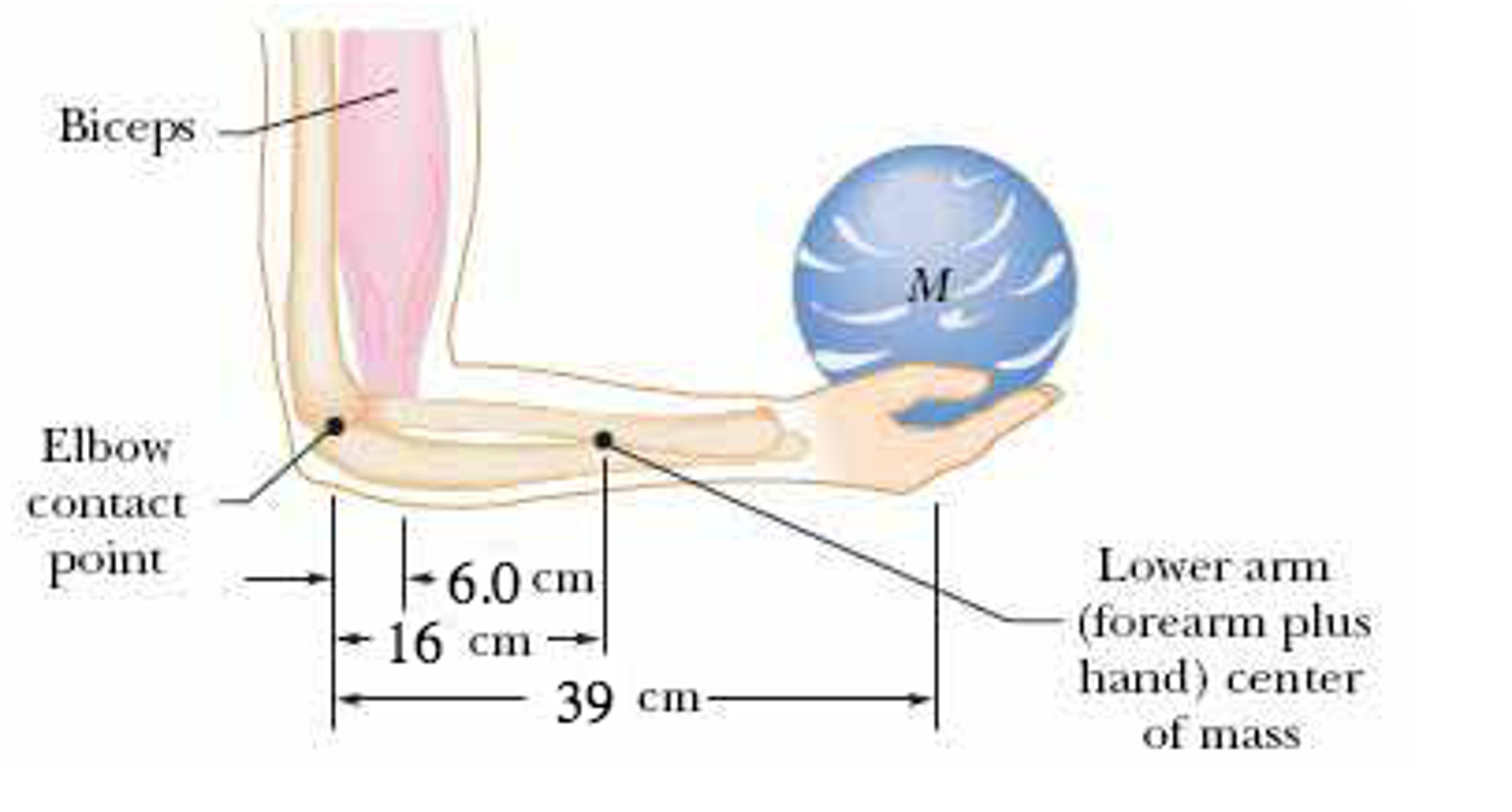 Solved A bowler holds a bowling ball with mass M = 6.8 kg in | Chegg.com Solved A bowler holds a bowling ball with mass M = 6.8 kg in | Chegg.com