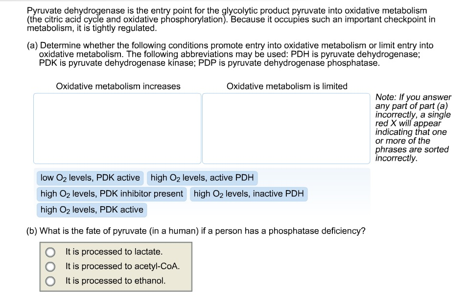 Solved Pyruvate dehydrogenase is the entry point for the | Chegg.com
