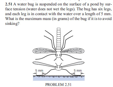 Solved A water bug is suspended on the surface of a pond by | Chegg.com