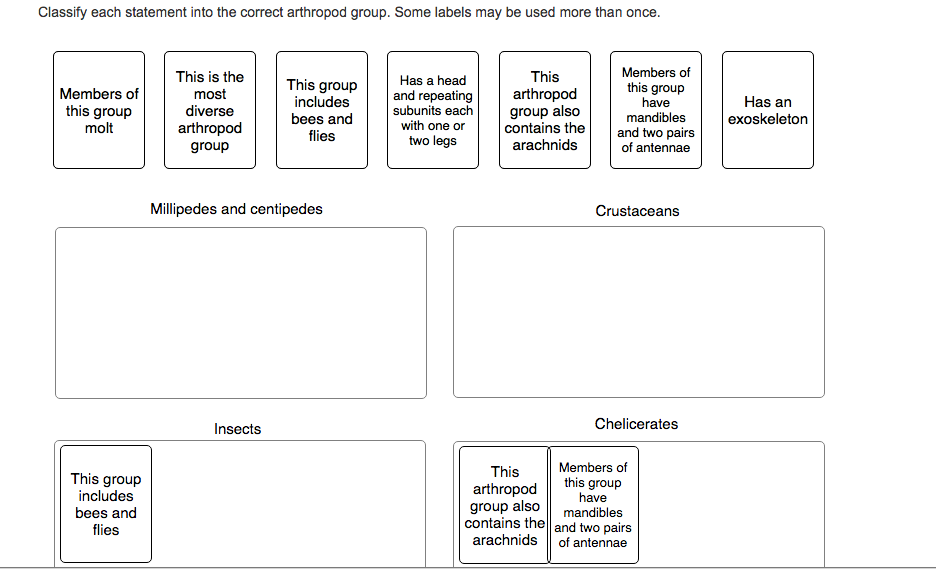 Solved Classify each statement into the correct arthropod | Chegg.com