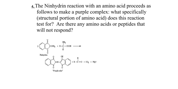 Solved The Ninhydrin reaction with an amino acid proceeds as | Chegg.com