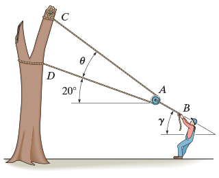 The man attempts to pull down the tree using the | Chegg.com
