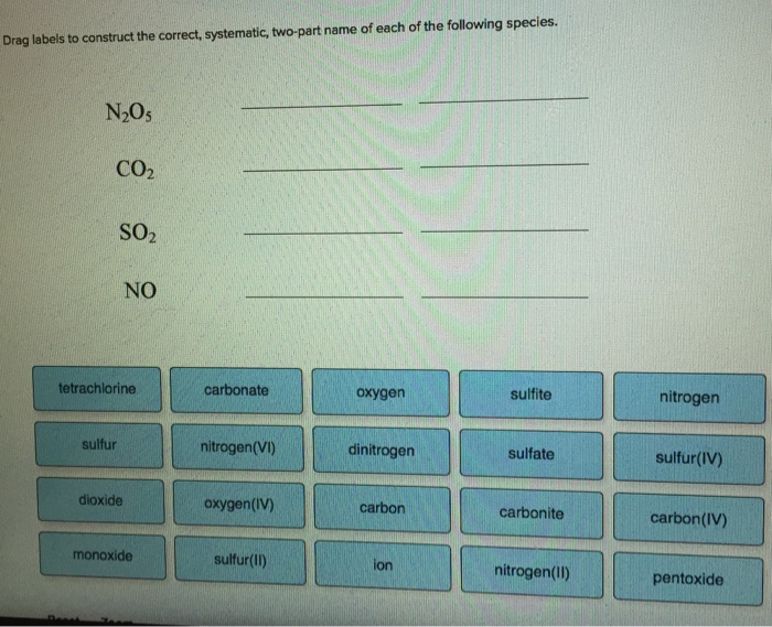 Solved Drag labels to construct the correct, systematic, | Chegg.com