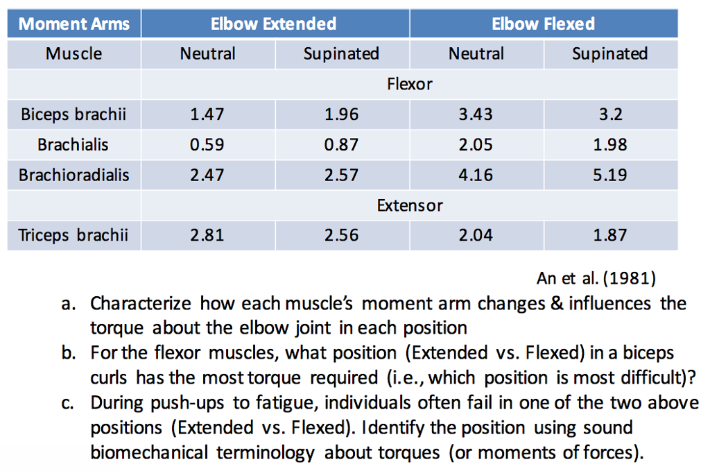 Solved Moment Arms Elbow Extended Elbow Flexed Muscle | Chegg.com