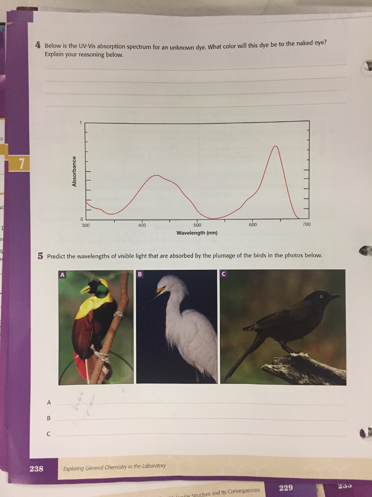 Solved Below is the UV-Vis absorption spectrum for an | Chegg.com