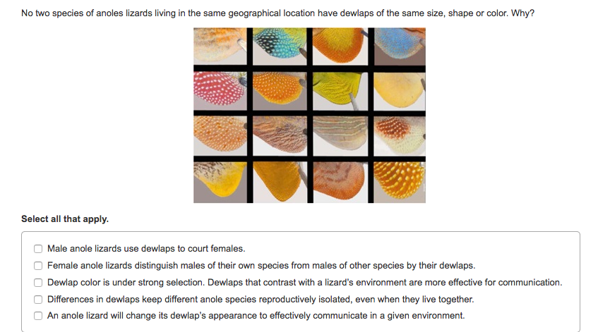 Solved No two species of anoles lizards living in the same | Chegg.com