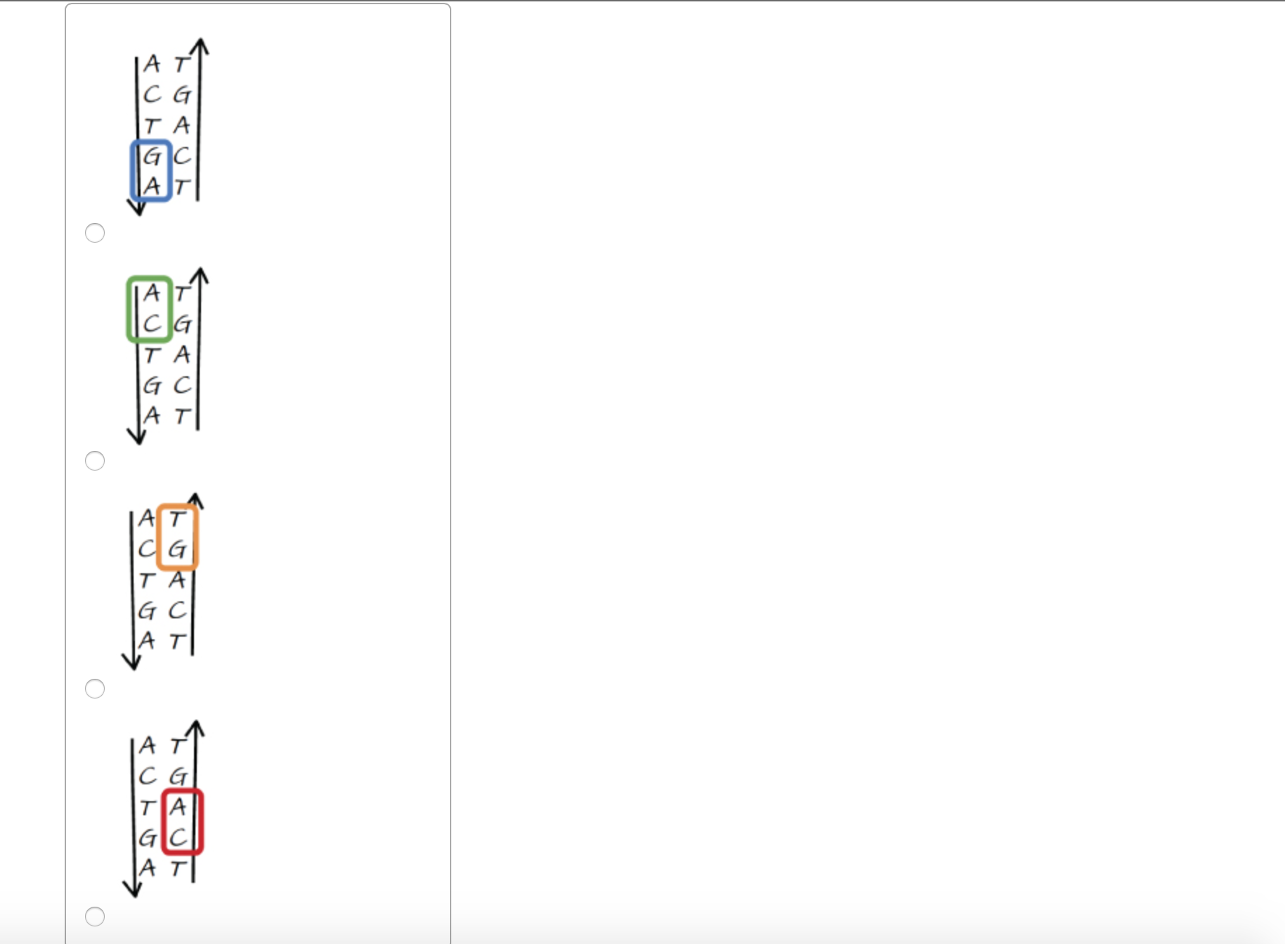 Solved A student has drawn an enlarged portion of a DNA | Chegg.com