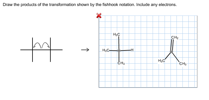 Solved Draw the products of the transformation shown by the | Chegg.com