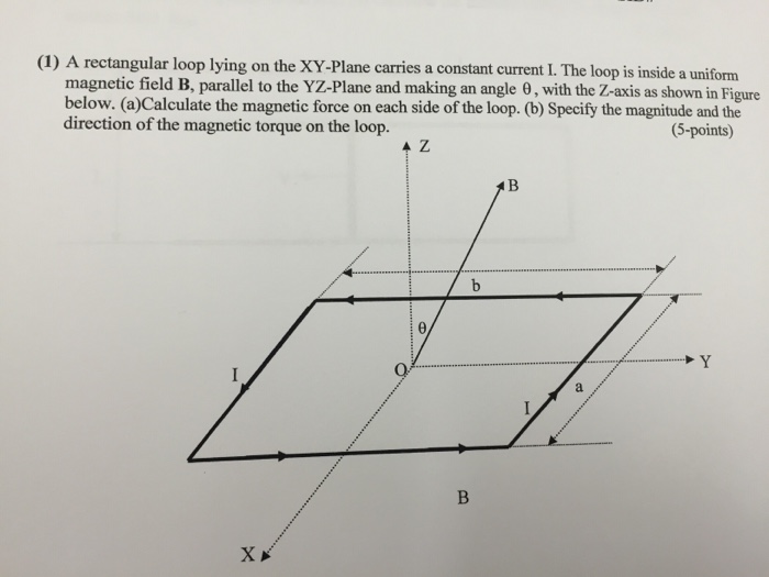 Solved A rectangular loop lying on the XY-Plane carries a | Chegg.com