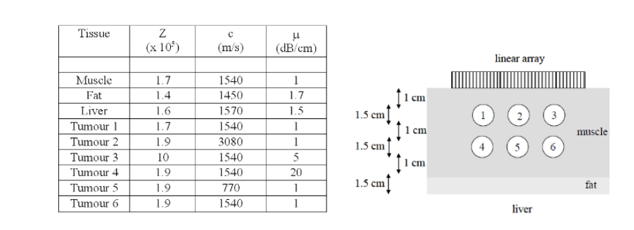 Solved Given the ultrasound data in the table below, sketch | Chegg.com