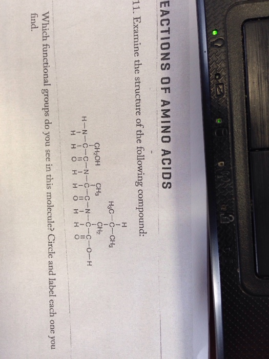 Solved Examine the structure of the following compound: | Chegg.com