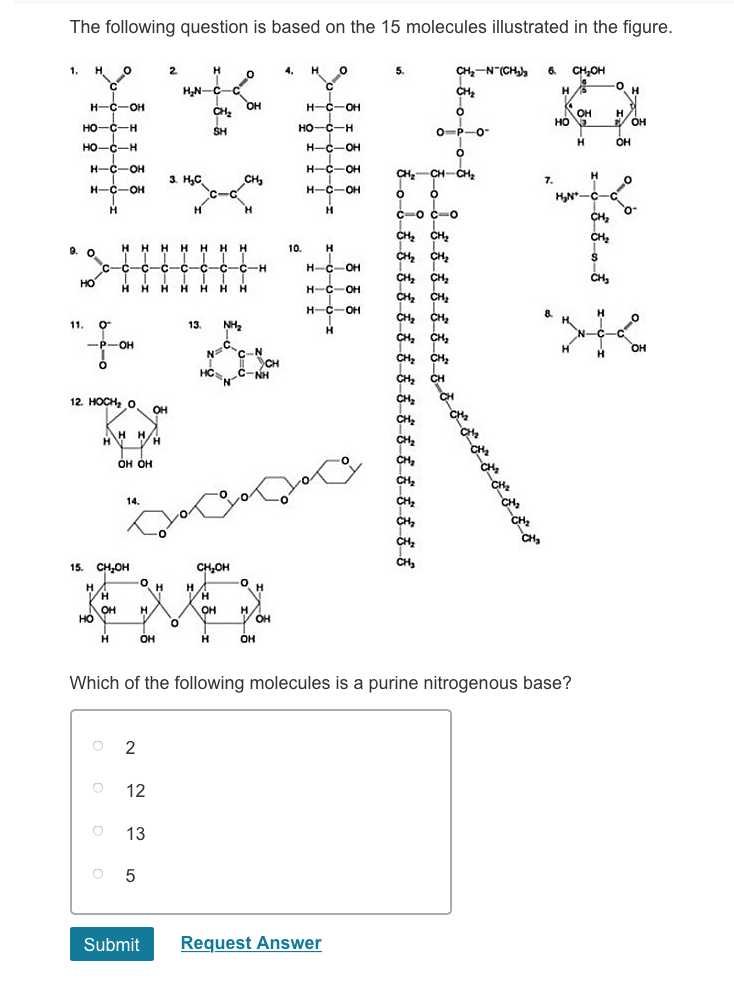 Solved The following question is based on the 15 molecules | Chegg.com Solved The following question is based on the 15 molecules | Chegg.com